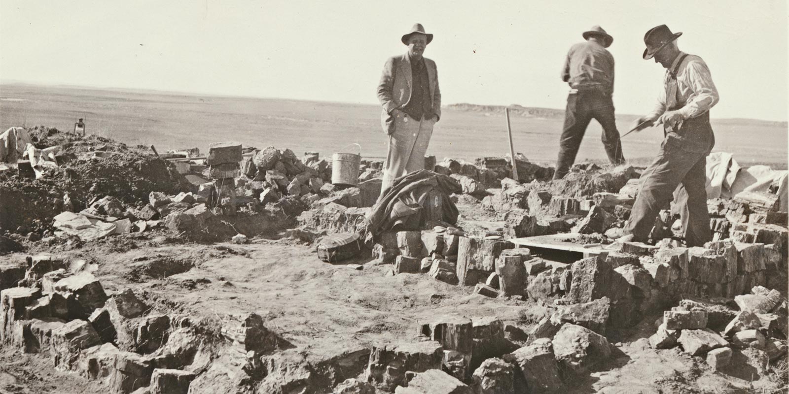 "Must-Have" Petrified Forest Book Soon to be Released | Friends of ...